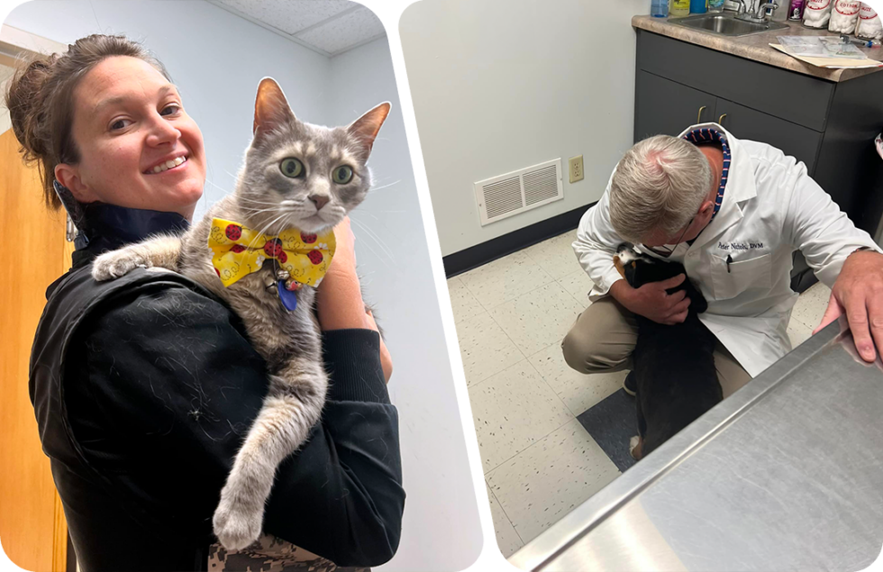 Best Veterinarian In Washington, IL | Washington Veterinary Medical Clinic