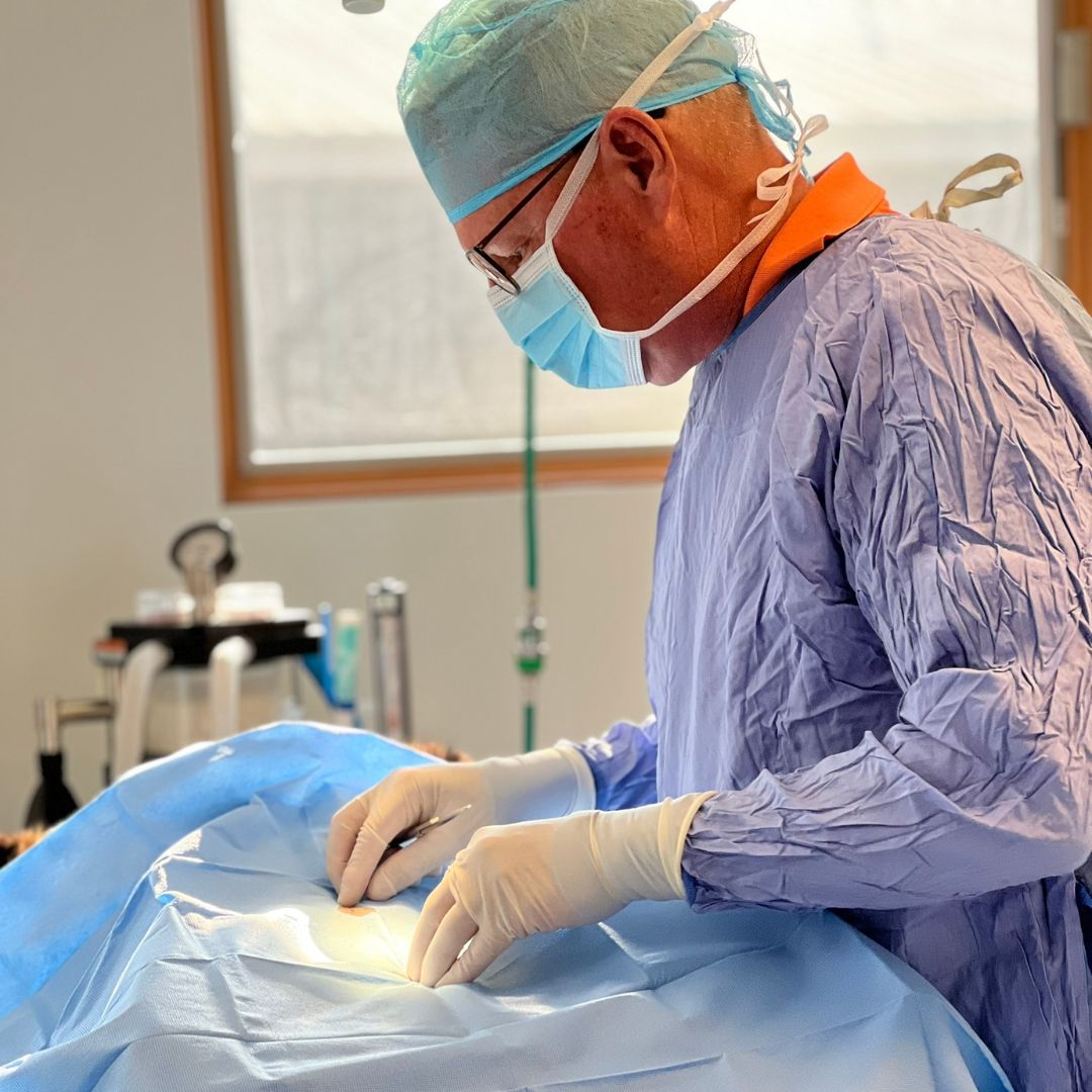 About Us | Washington Veterinary Medical Clinic